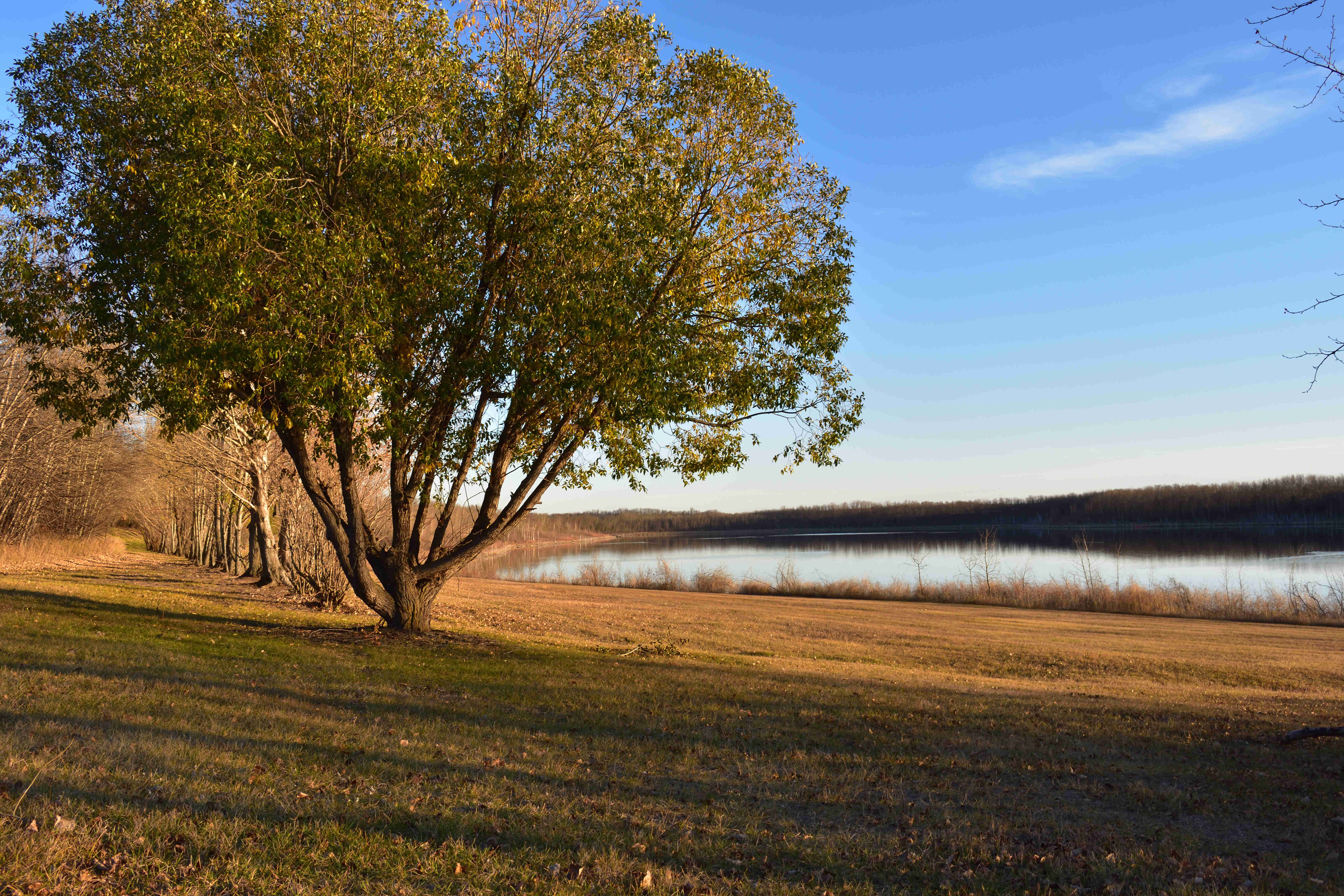 County of Two Hills - County Ownership Map